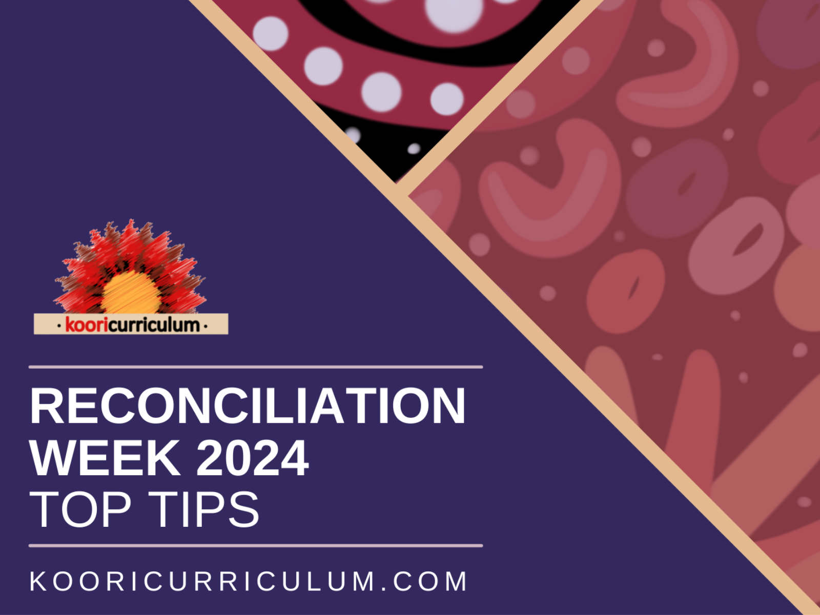 Reconciliation Week 2024 Free Guide | Koori Curriculum