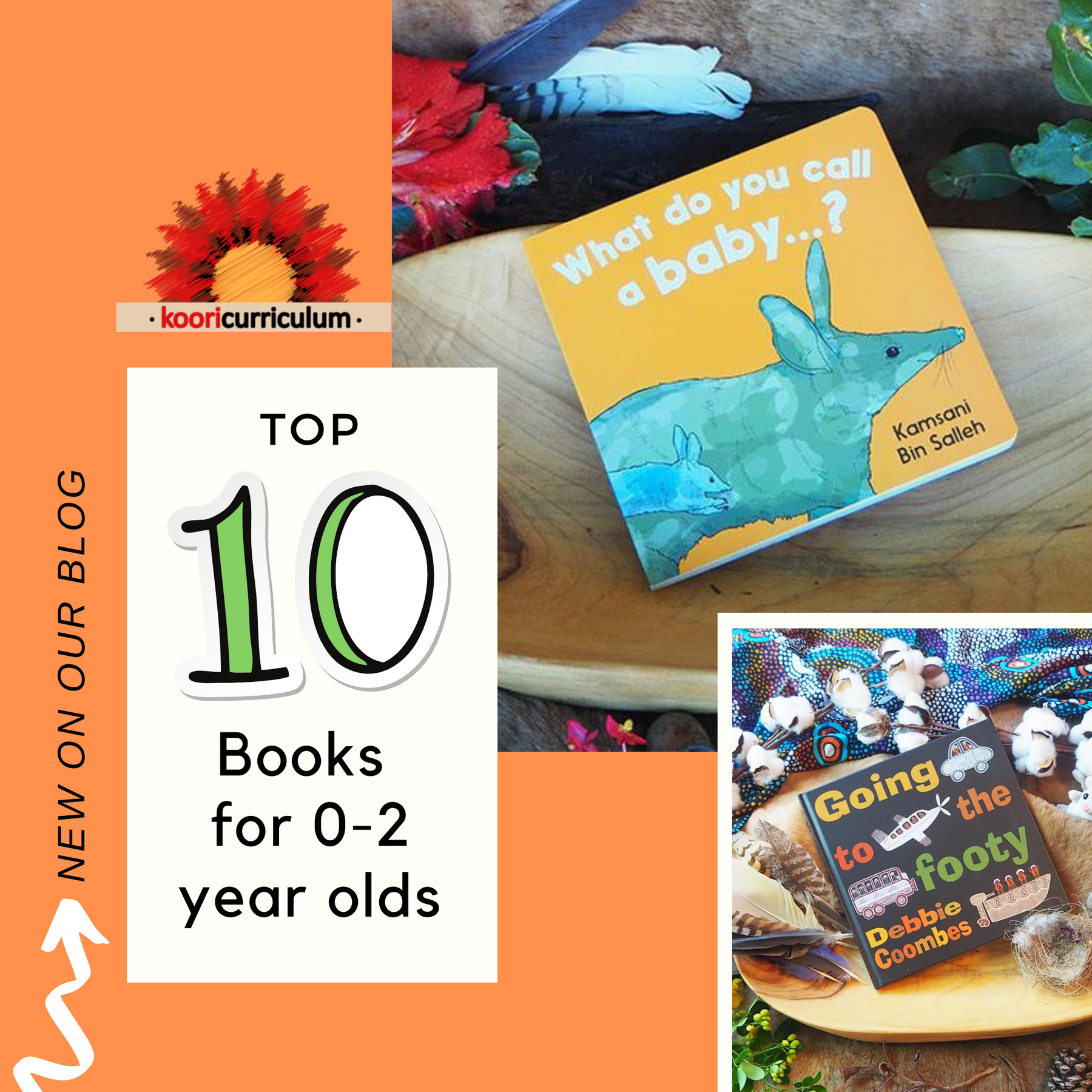 Top Ten Books for 0-2 year olds | Koori Curriculum