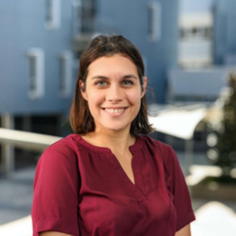 "Day Break" By Amy McQuire | Koori Curriculum