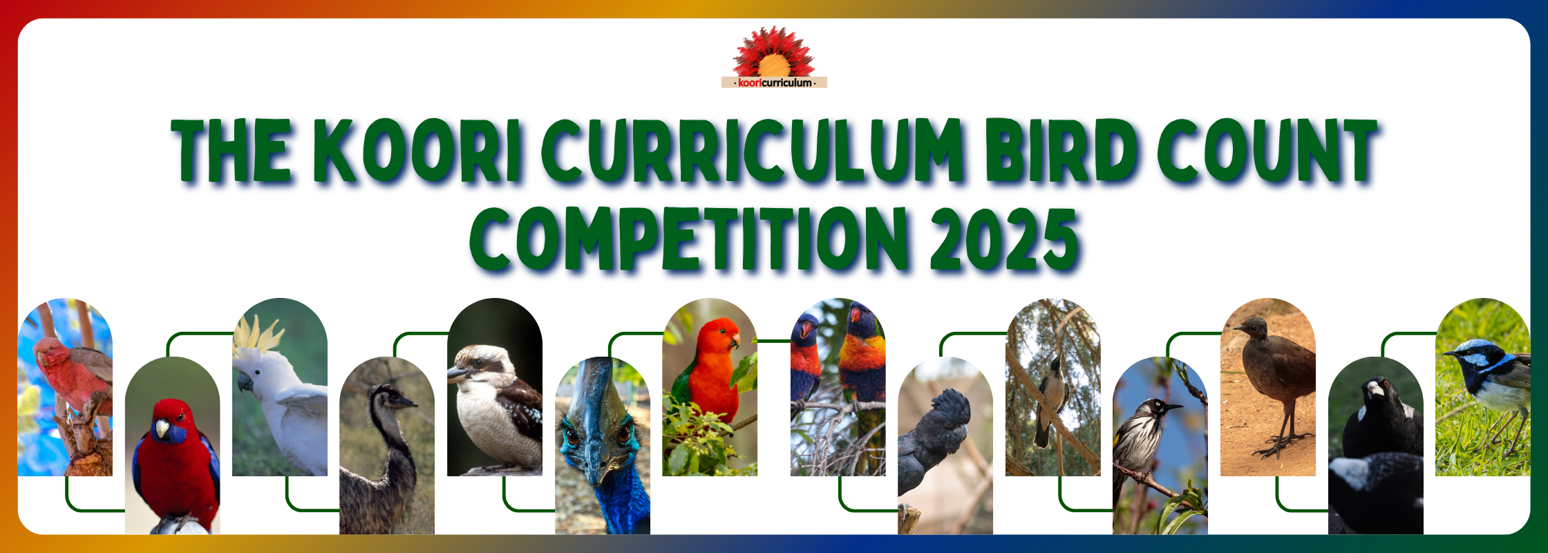 The Koori Curriculum Bird Count Competition 2025 | Koori Curriculum