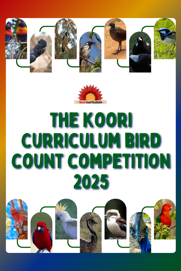 The Koori Curriculum Bird Count Competition 2025 | Koori Curriculum