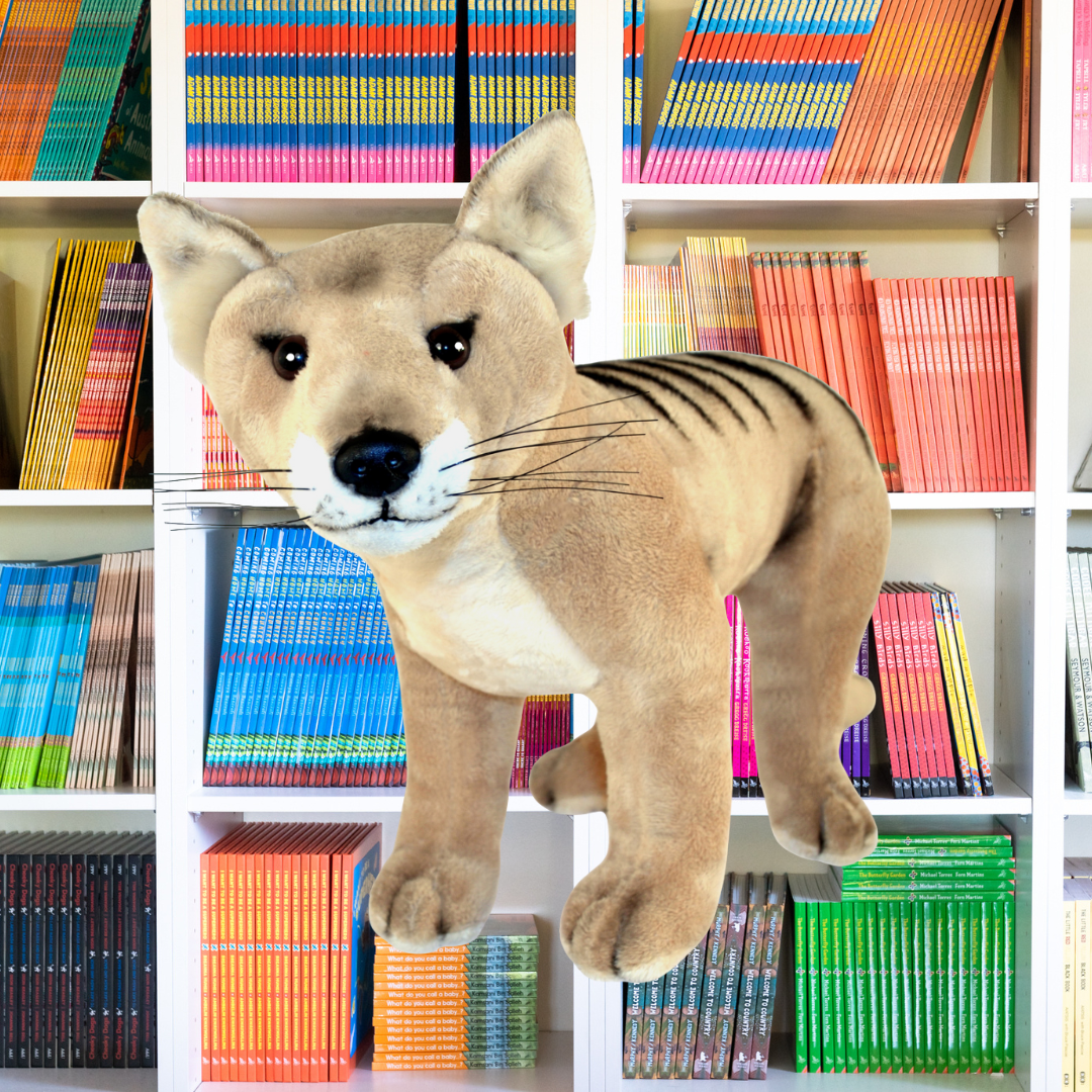 "Cooper" Tasmania Tiger Size 36CM | Koori Curriculum