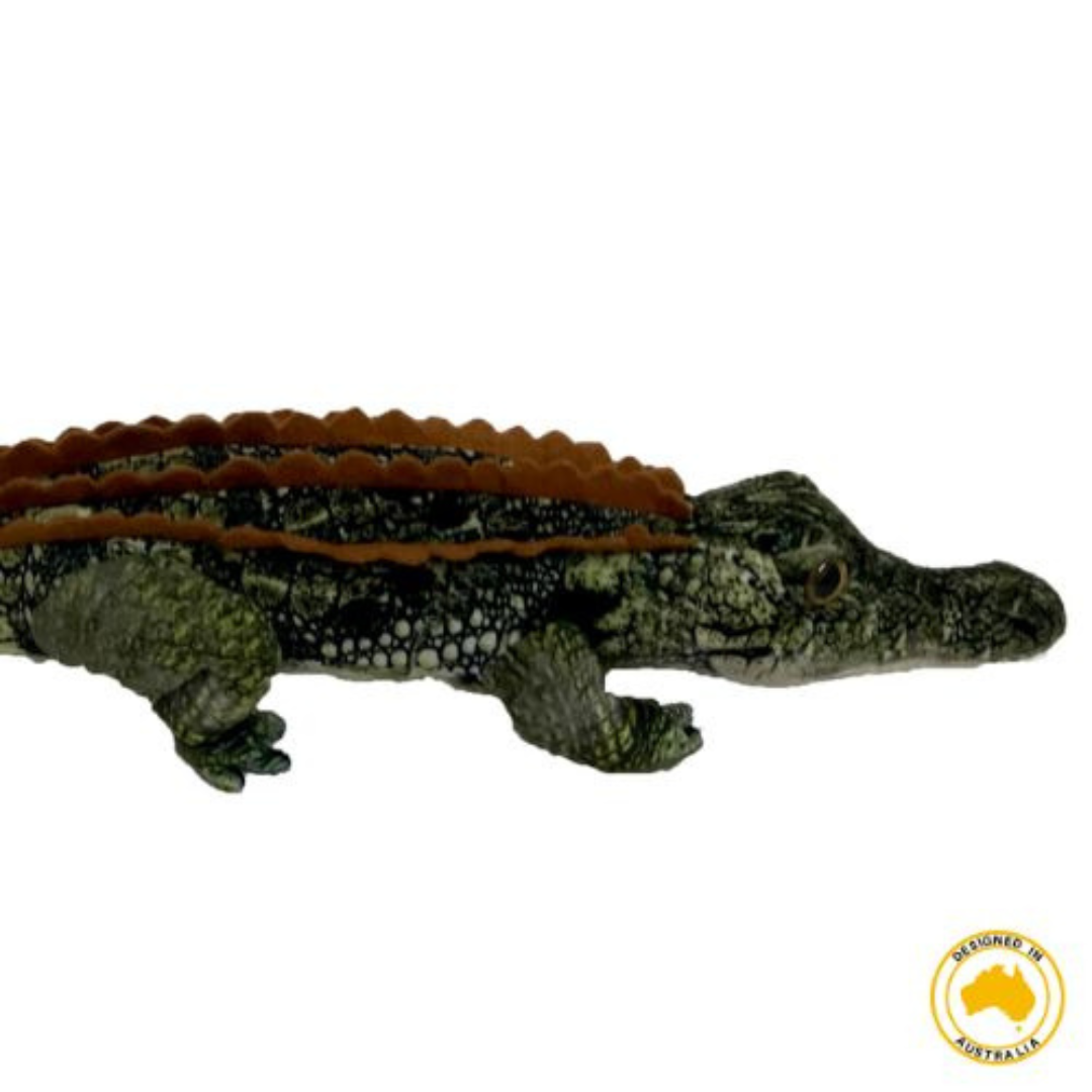 Cranky Croc Small | Koori Curriculum