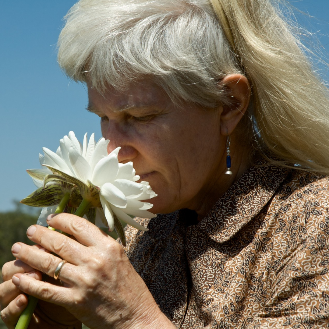 “Walking with the Seasons in Kakadu” By Diane Lucas, Ken Searle (Illus ...