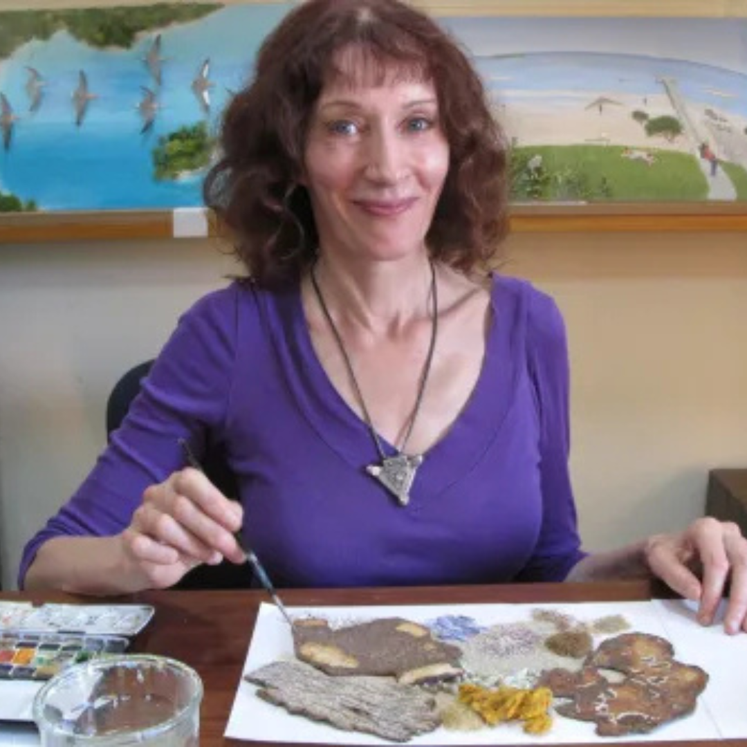 "Where the Forest Meets the Sea" By Jeannie Baker | Koori Curriculum