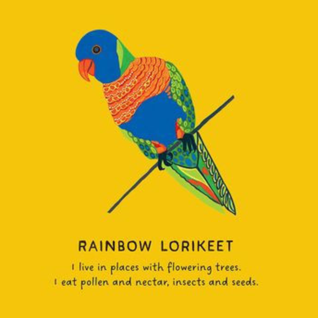 "Our Birds: A Celebration of Australian Wildlife" By Bronwyn Bancroft ...