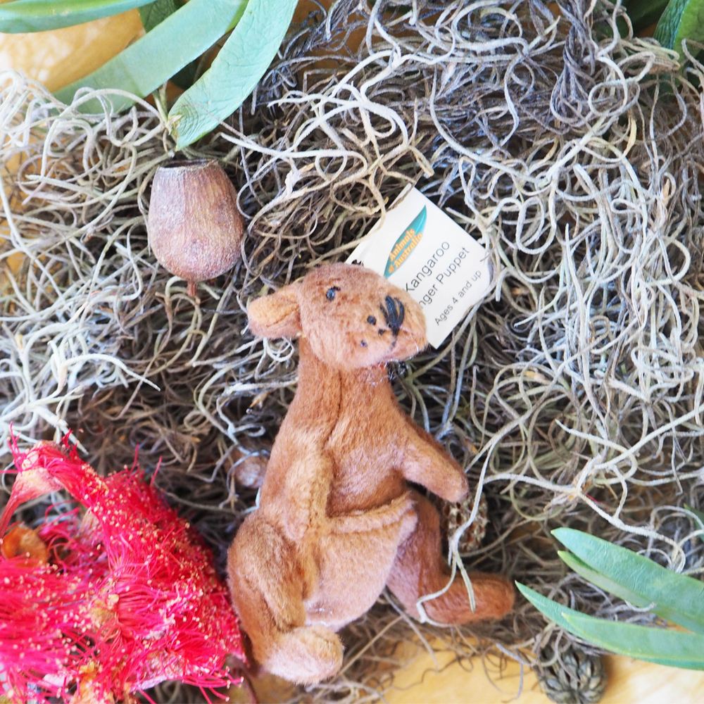Toys & Puppets | Koori Curriculum