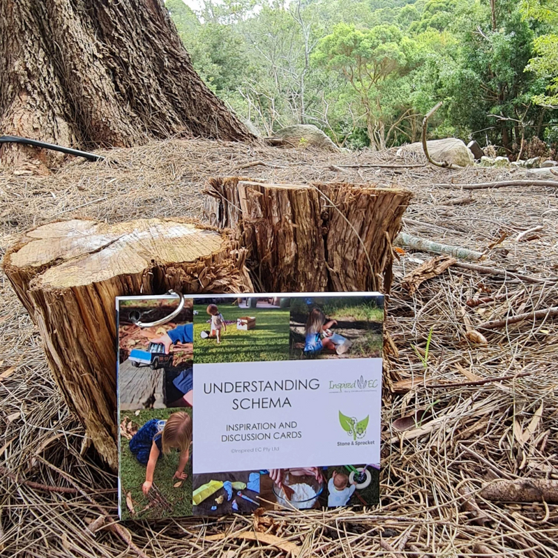 Understanding Schema - Inspiration and Discussion Cards | Koori Curriculum