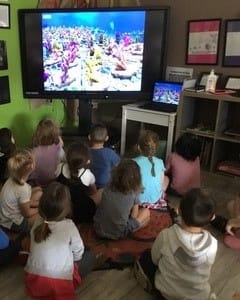 Dadirri and what it means to be a custodian of the land | Koori Curriculum