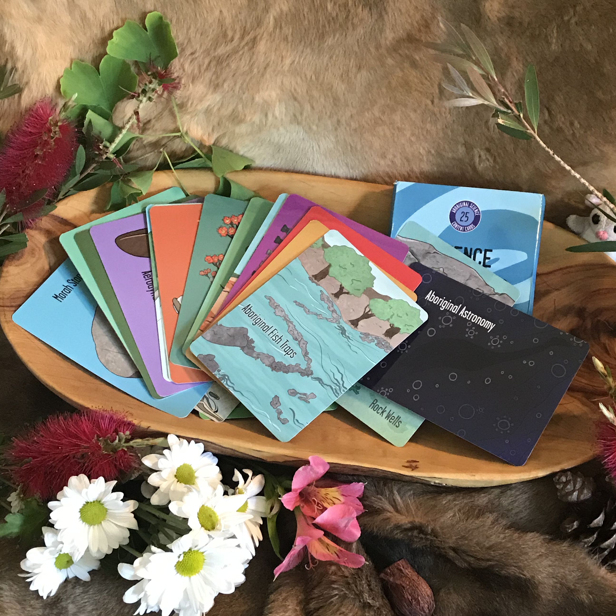 Aboriginal Science Topic Cards | Koori Curriculum