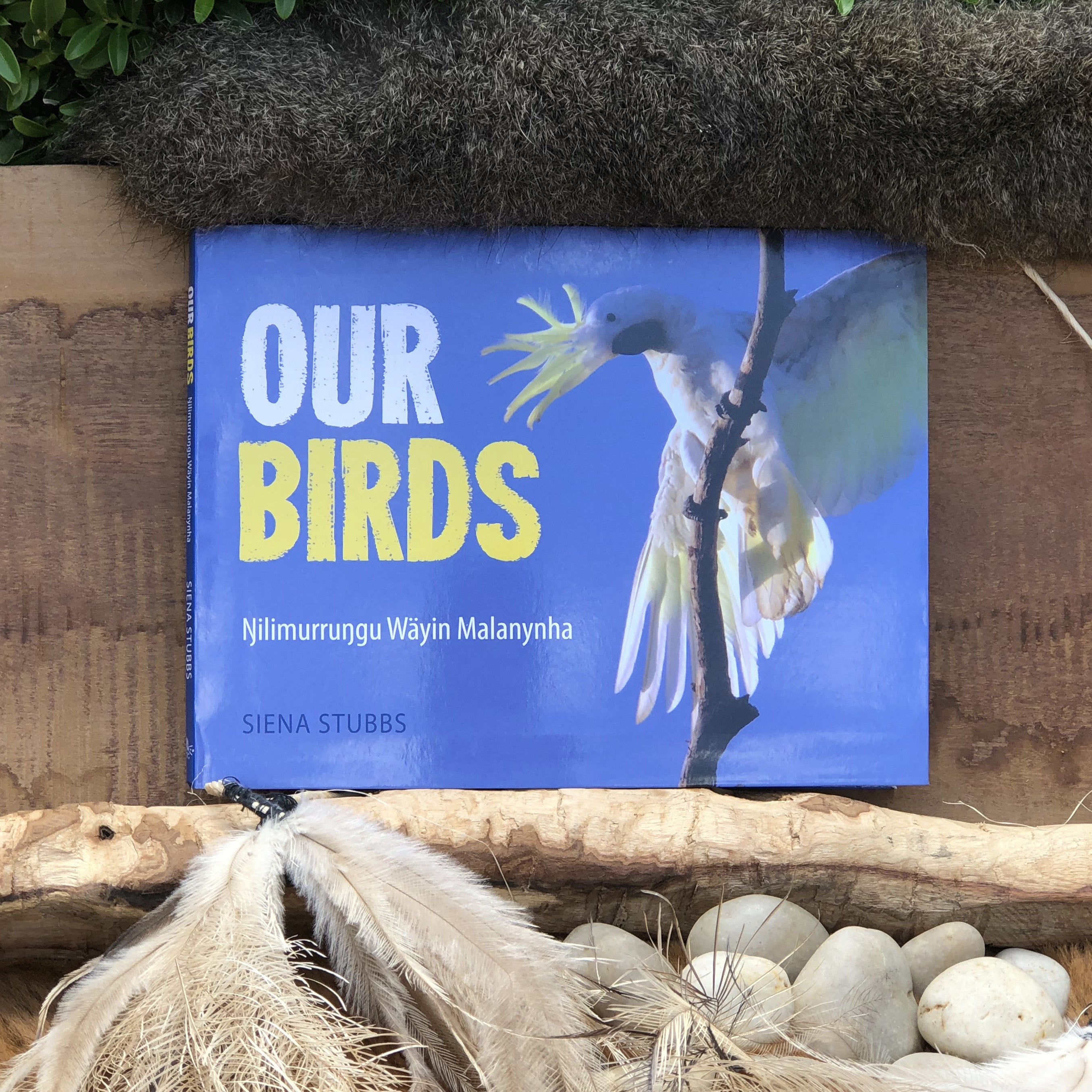 "Our Birds: Ŋilimurruŋgu Wäyin Malanynha" By Sienna Stubbs | Koori ...