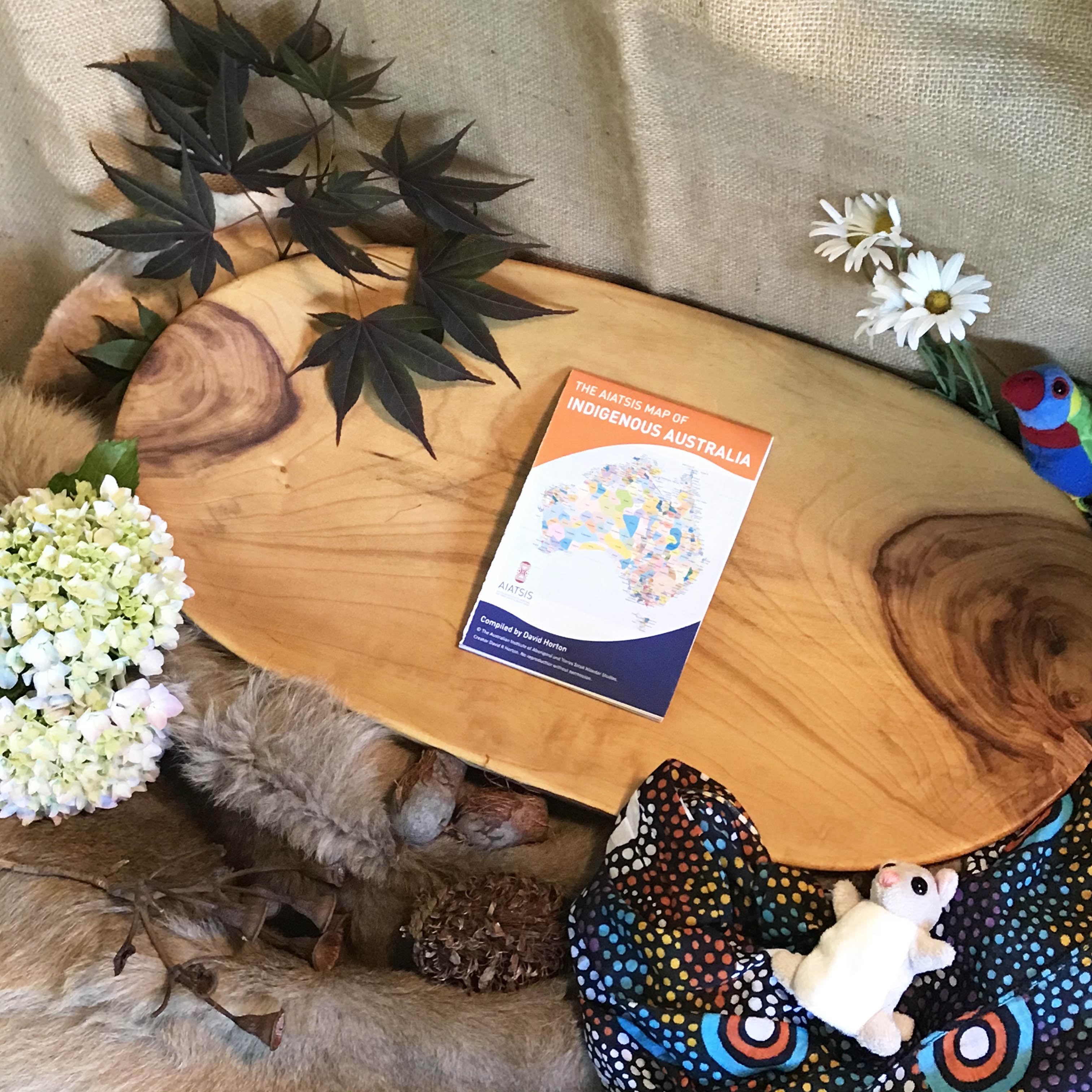 A1 fold AIATSIS map Indigenous Australia - Aboriginal Studies Press ...