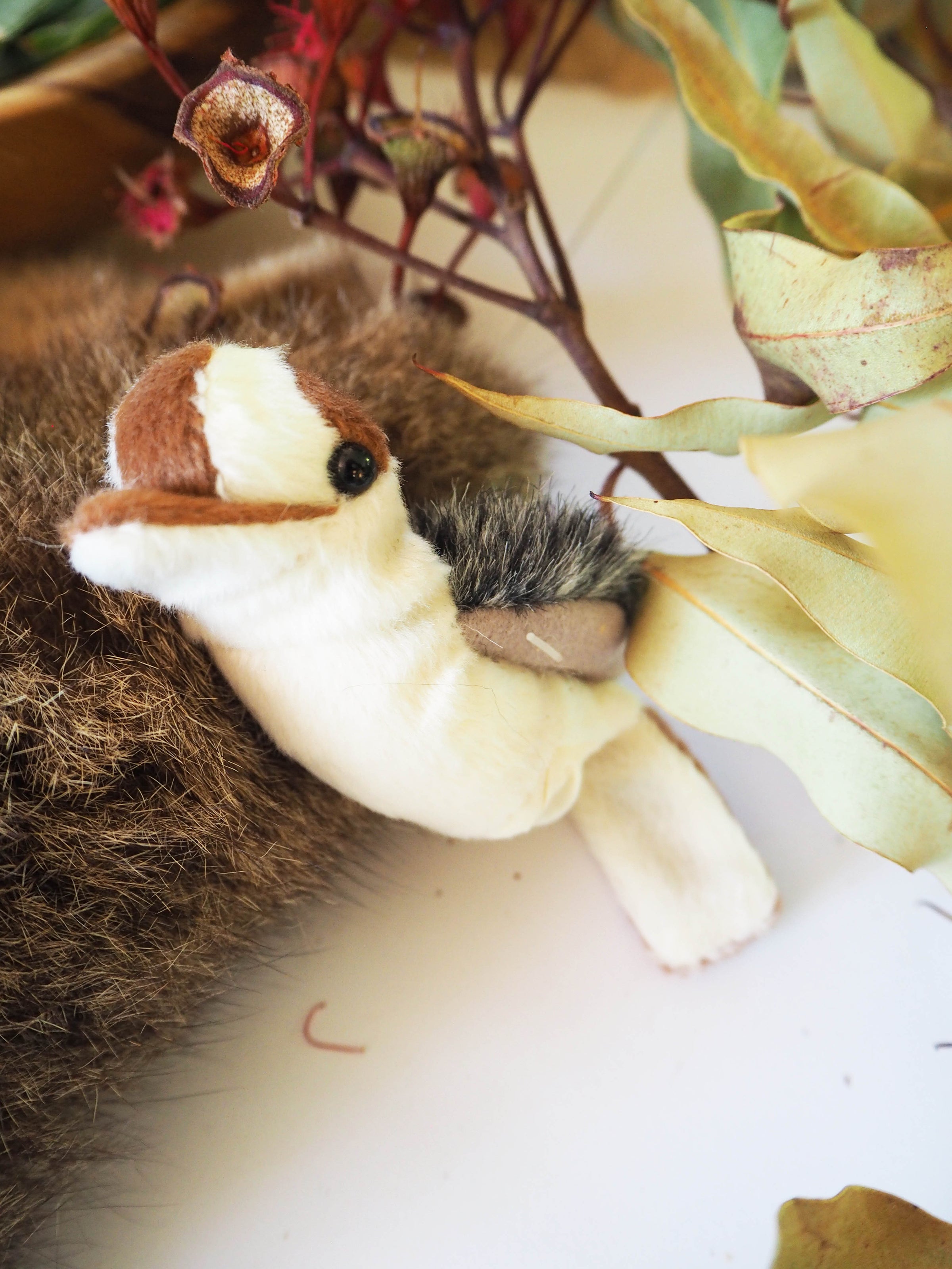 Australian Kookaburra Finger Puppet | Koori Curriculum
