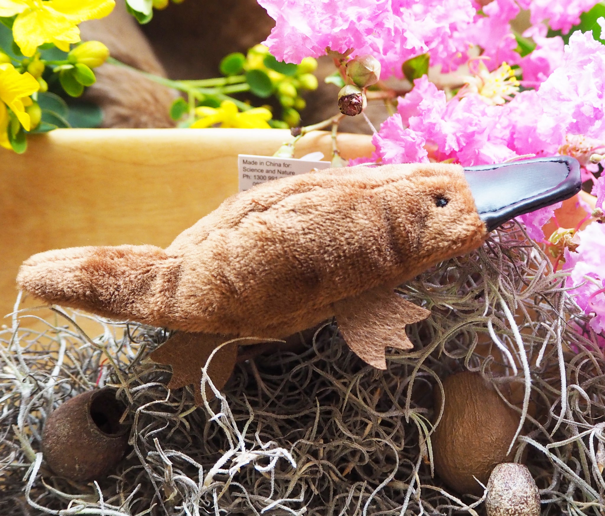 Australian Platypus Finger Puppet | Koori Curriculum