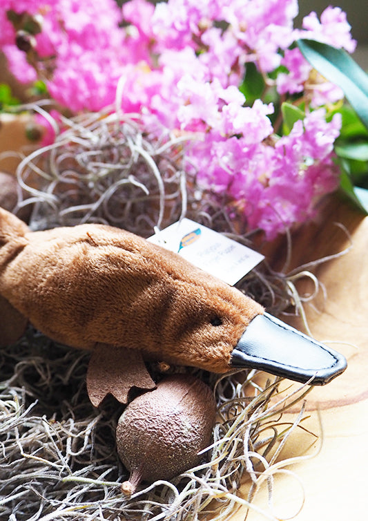 Australian Platypus Finger Puppet | Koori Curriculum