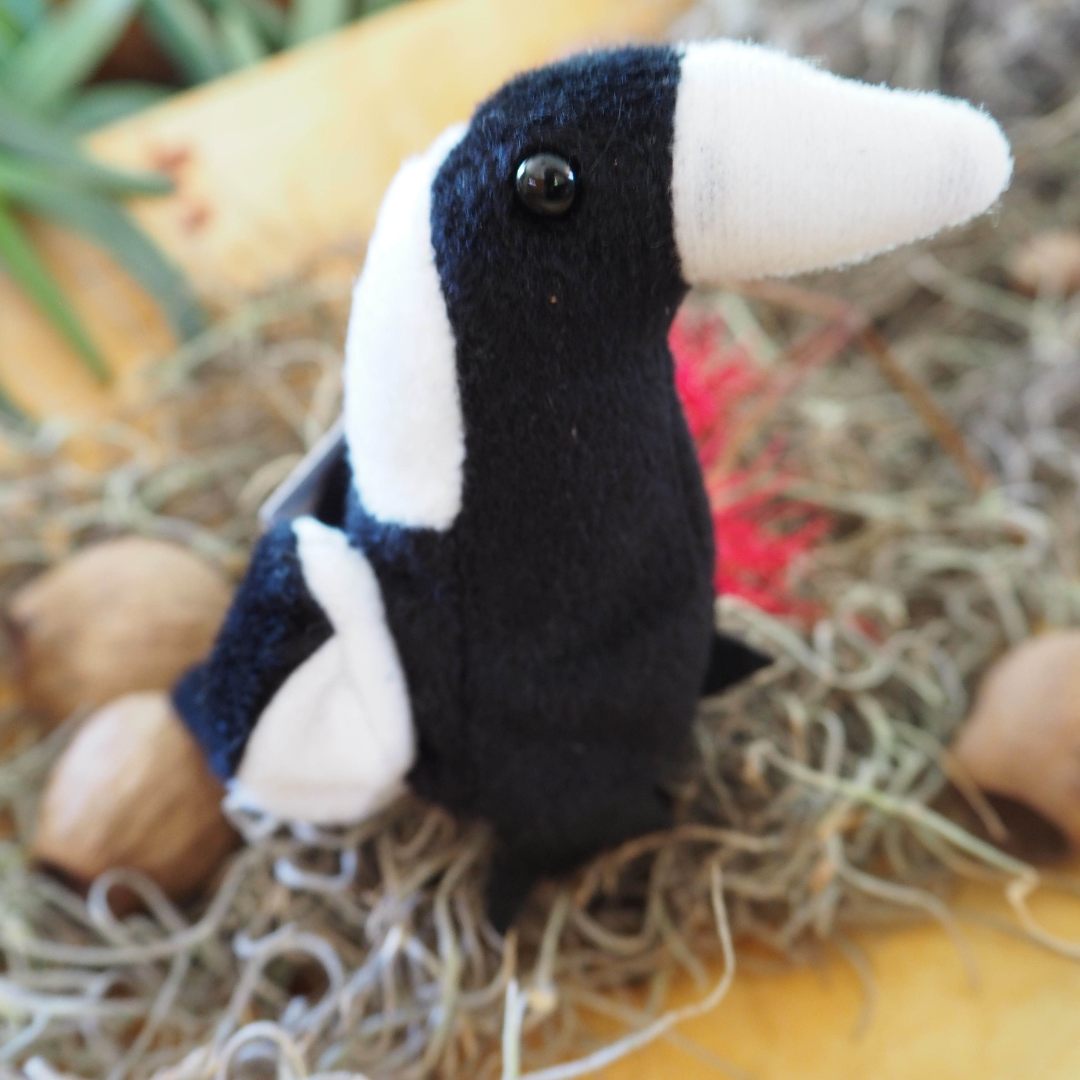 Australian Magpie Finger Puppet | Koori Curriculum