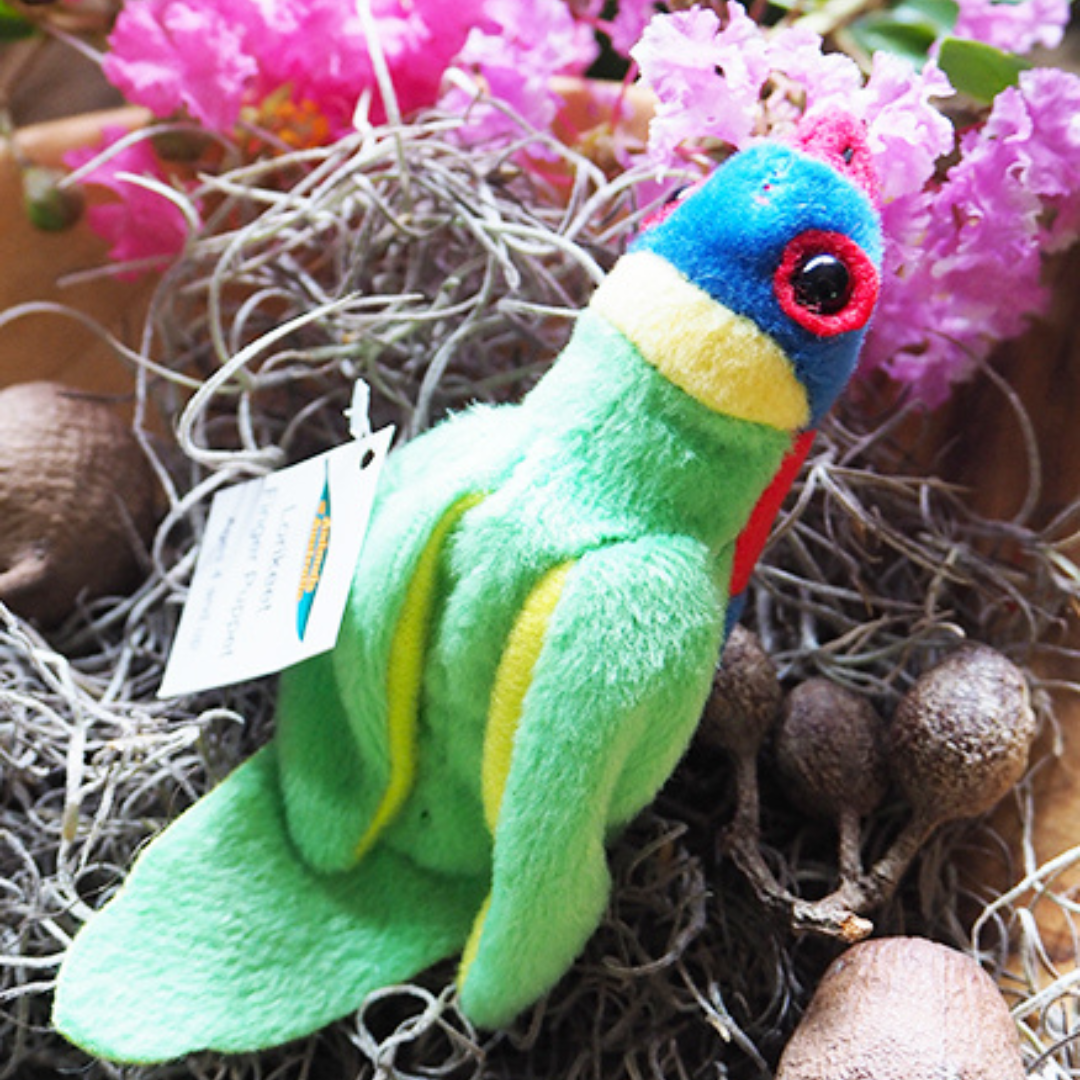 Australian Lorikeet Finger Puppet | Koori Curriculum