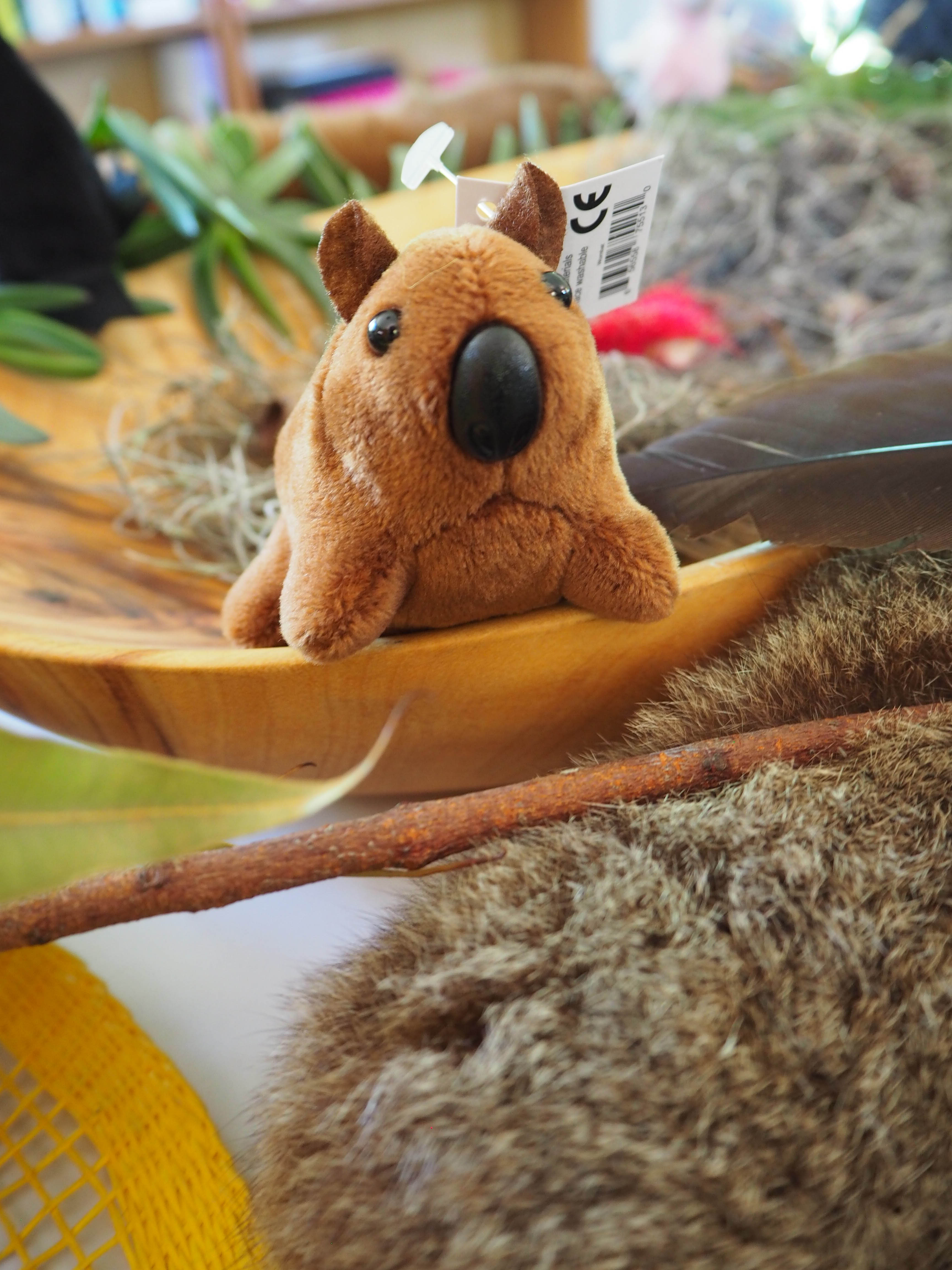 Australian Wombat Finger Puppet | Koori Curriculum