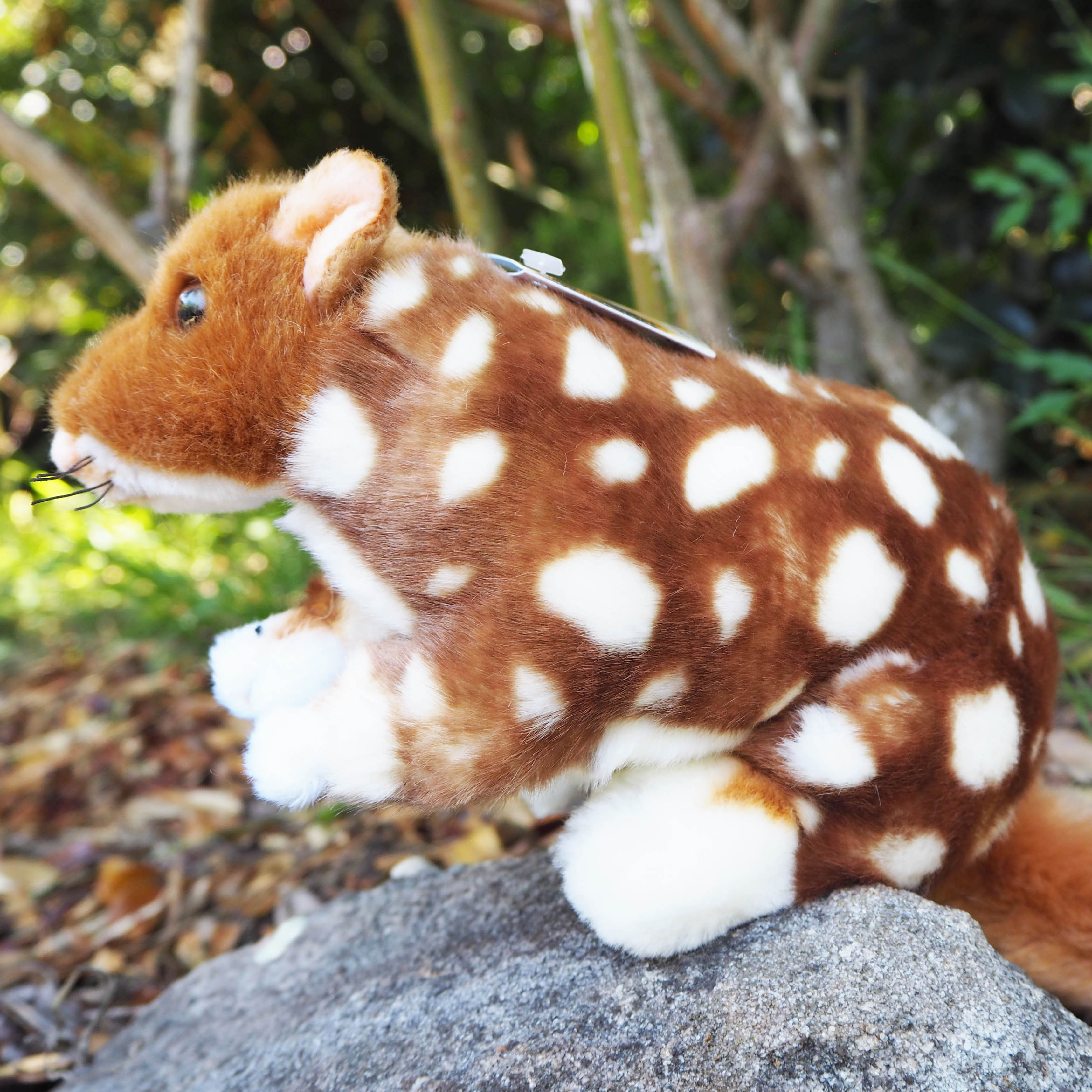 Dotti – Plush Australian Fawn Eastern Quoll Size 31cm/12″ | Koori ...